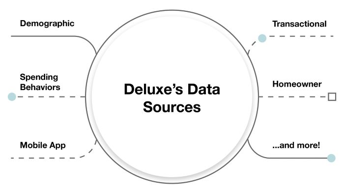 Leverage Consumer Data for Powerful Marketing Campaigns | Deluxe